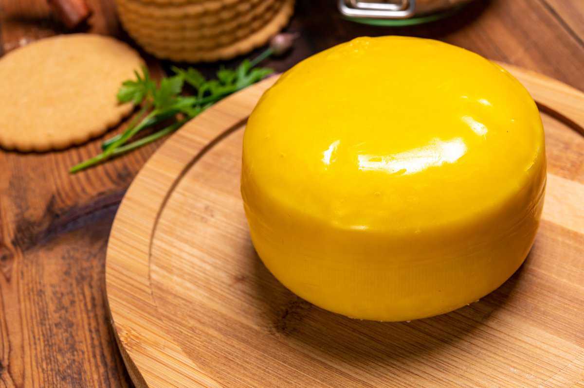 Gouda in der Schwangerschaft - erlaubt oder verboten? | mampfbar