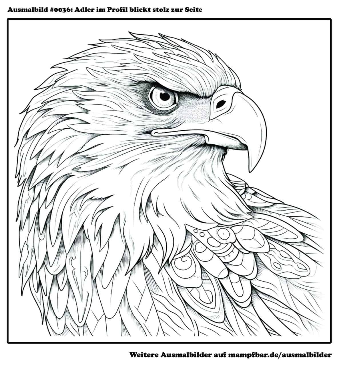 10 schöne Adler-Ausmalbilder zum Ausdrucken | mampfbar