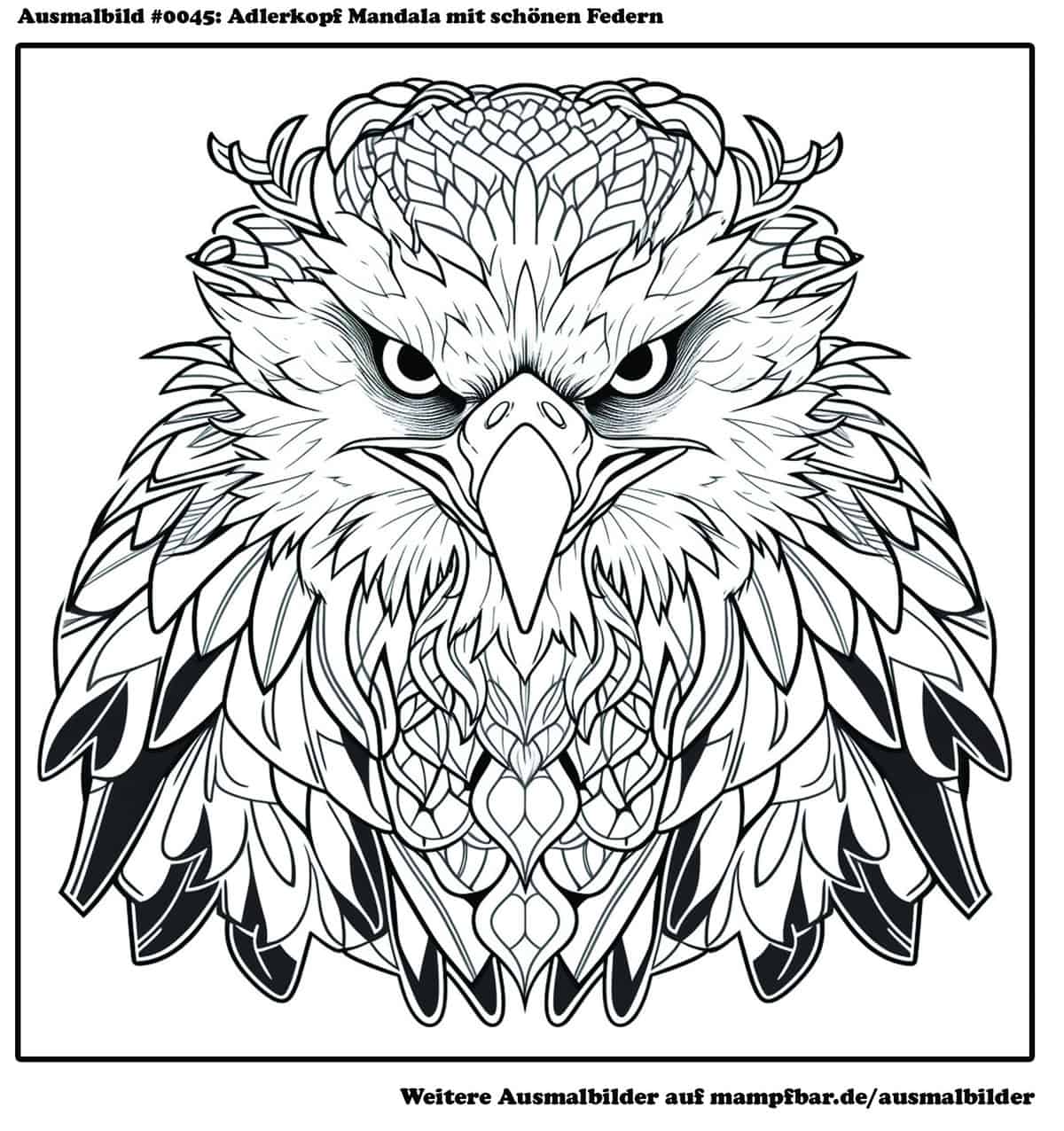10 schöne Adler-Ausmalbilder zum Ausdrucken | mampfbar