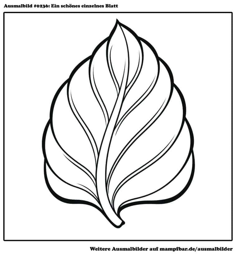 10 schöne Blätter-Ausmalbilder zum Ausdrucken | mampfbar