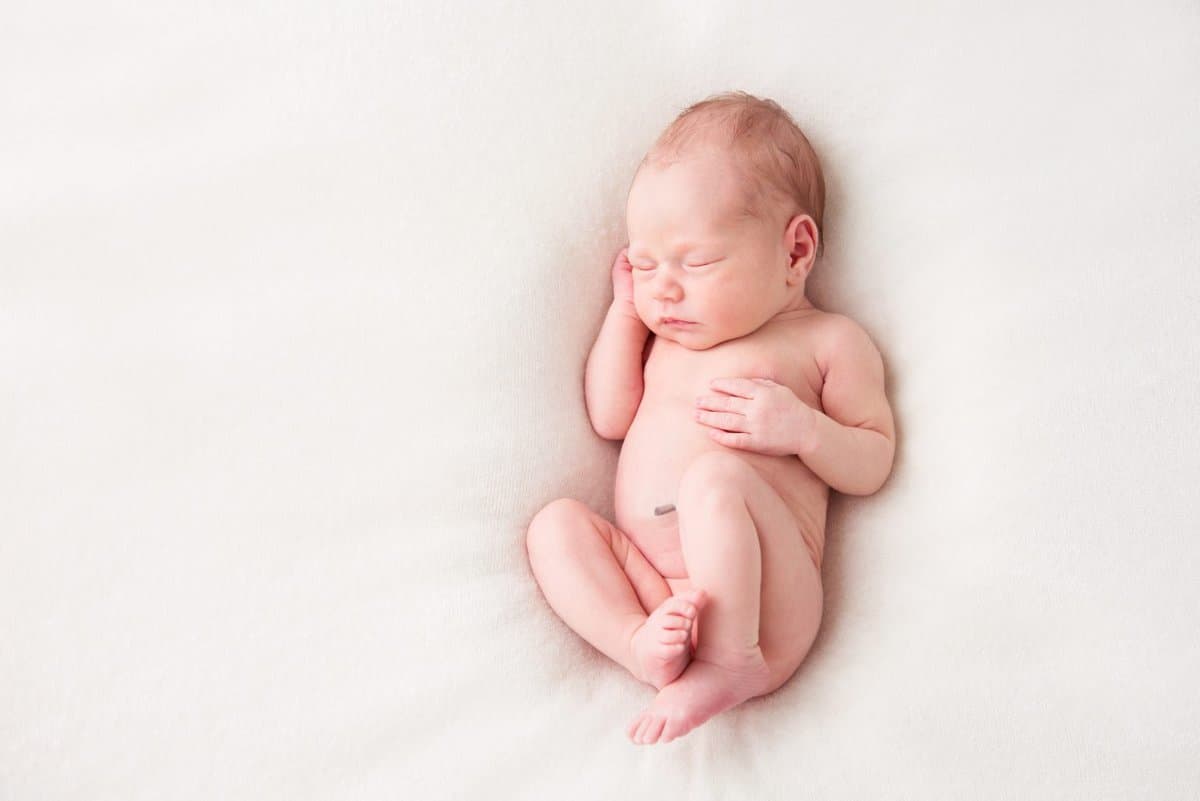 Albert als Vorname: Bedeutung, Beliebtheit & Herkunft | mampfbar