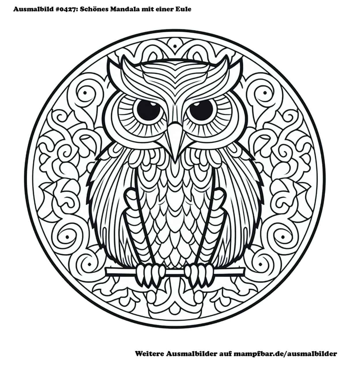 12 schöne Eulen-Ausmalbilder zum Ausdrucken | mampfbar