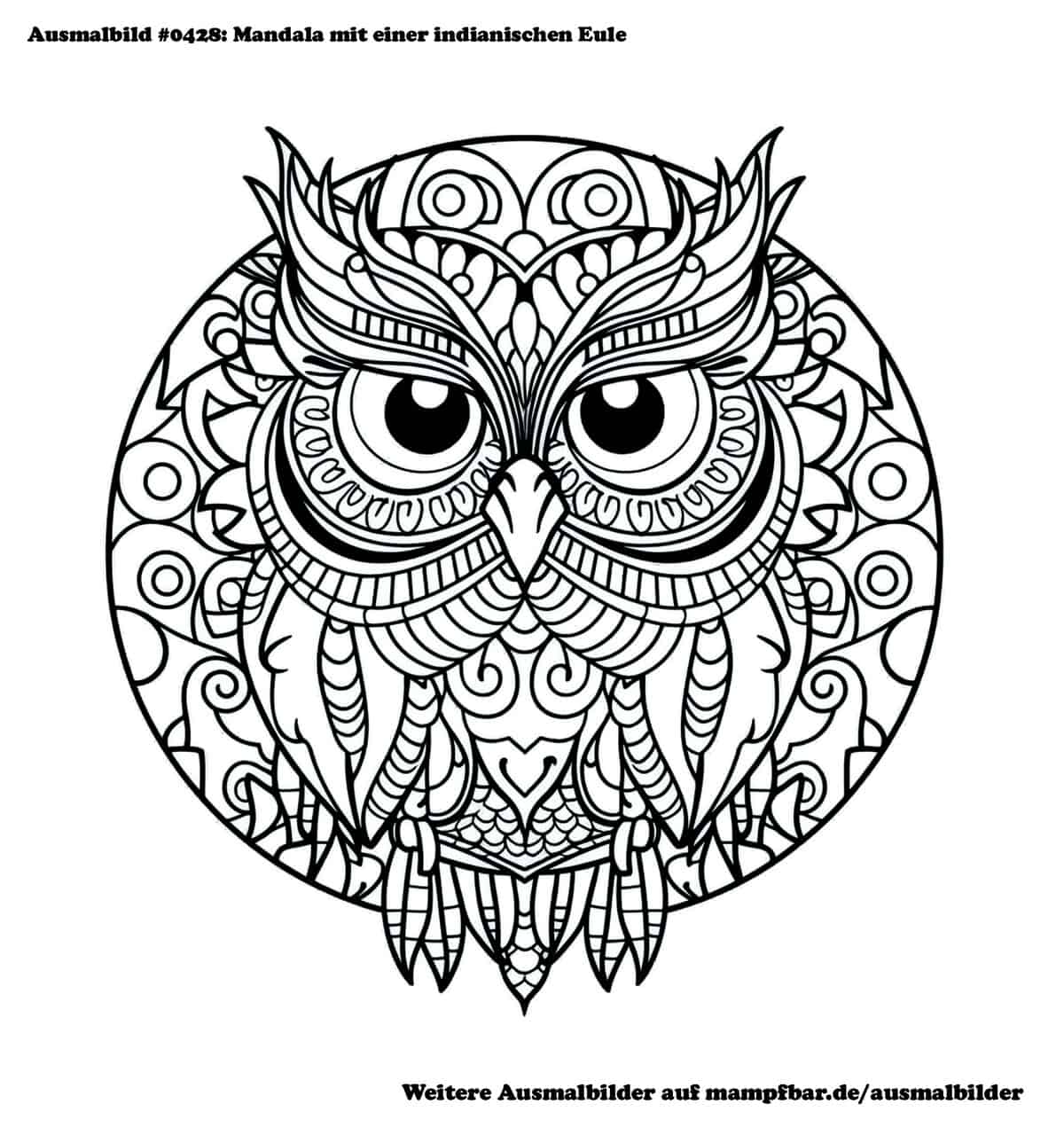 12 schöne Eulen-Ausmalbilder zum Ausdrucken | mampfbar